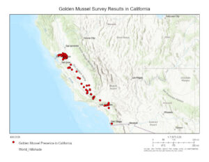 Eastern Sierra WID – Don't Move a Mussel
